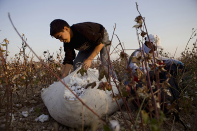 Call for H&M and Zara to stop using Uzbek cotton | Anti-Slavery ...