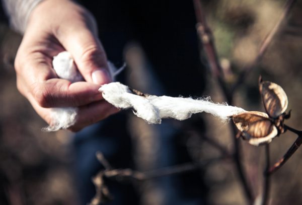 Gallery: Cotton Crimes | Anti-Slavery International