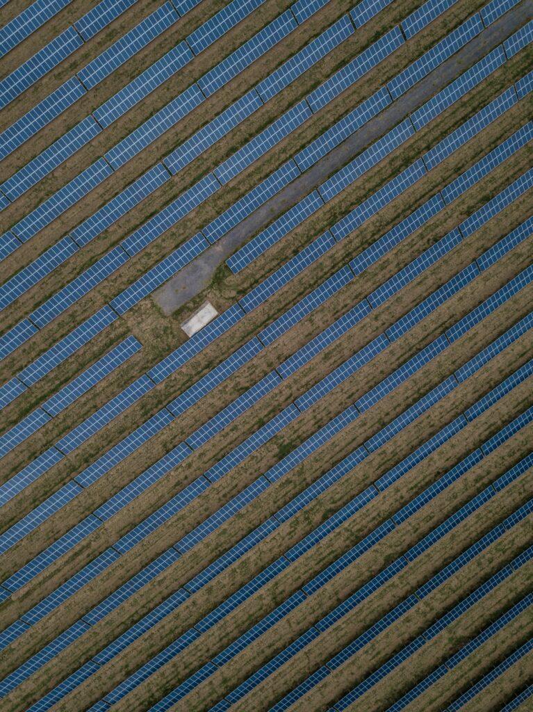 Report exposes solar panel industry links to Uyghur forced labour